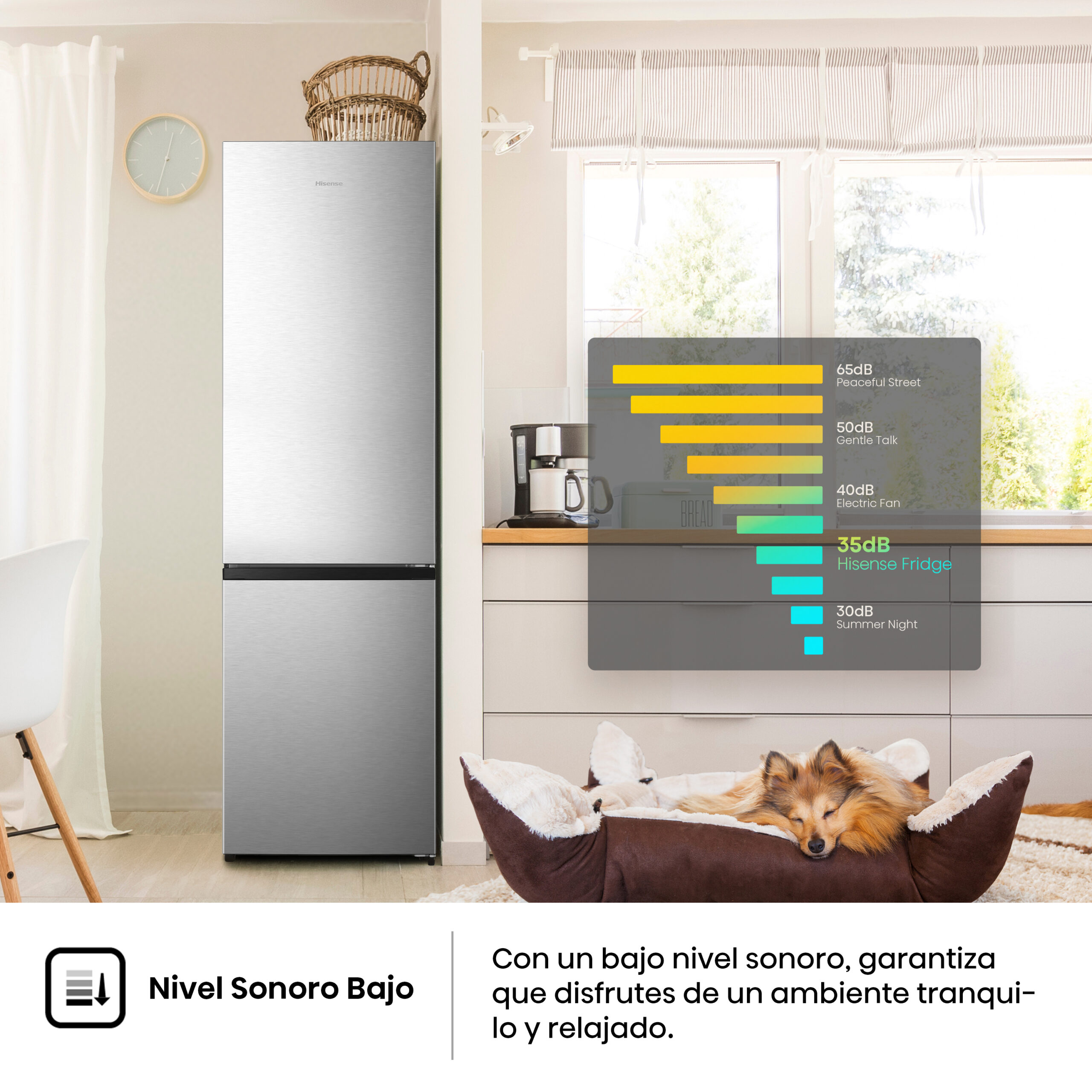 Hisense RB440N4ACA - Frigorífico Combi 2 Puertas, Clase A , 336L