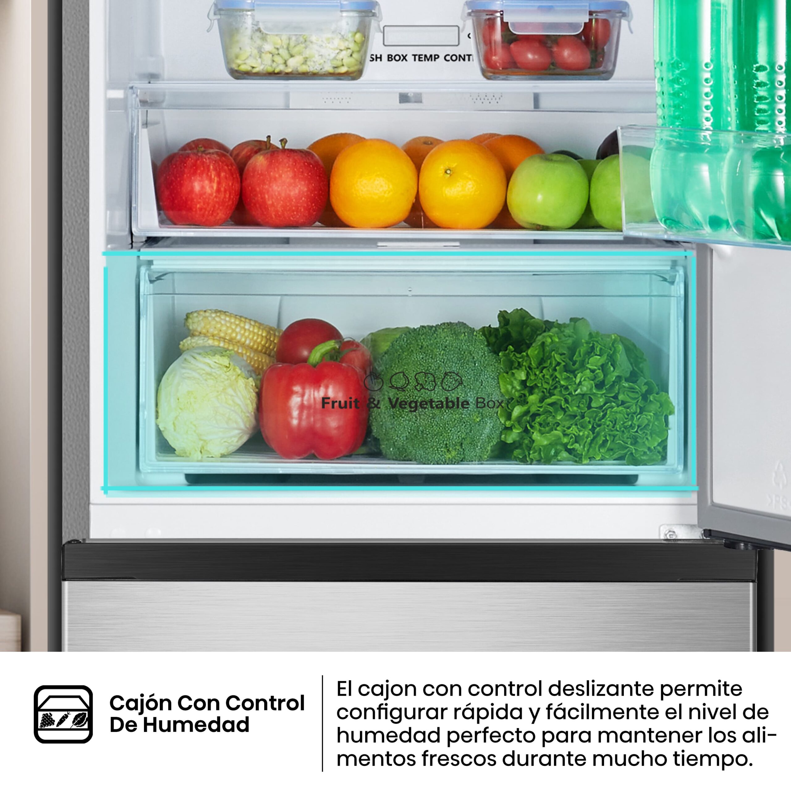 Hisense RB390N4CCD - Frigorífico Combi, Clase D , 304L, Inox